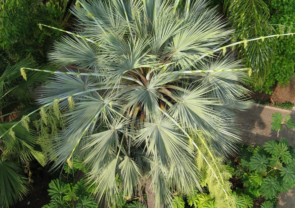 ACCUEIL - ARBORIS CONSULTANTS